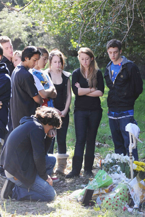 PaliHi Senior Nicholas Rosser Dies in Palisades Drive Crash ...