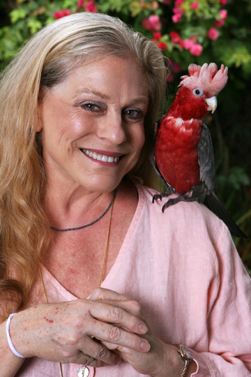 Is This Cockatoo for You? - Palisadian Post